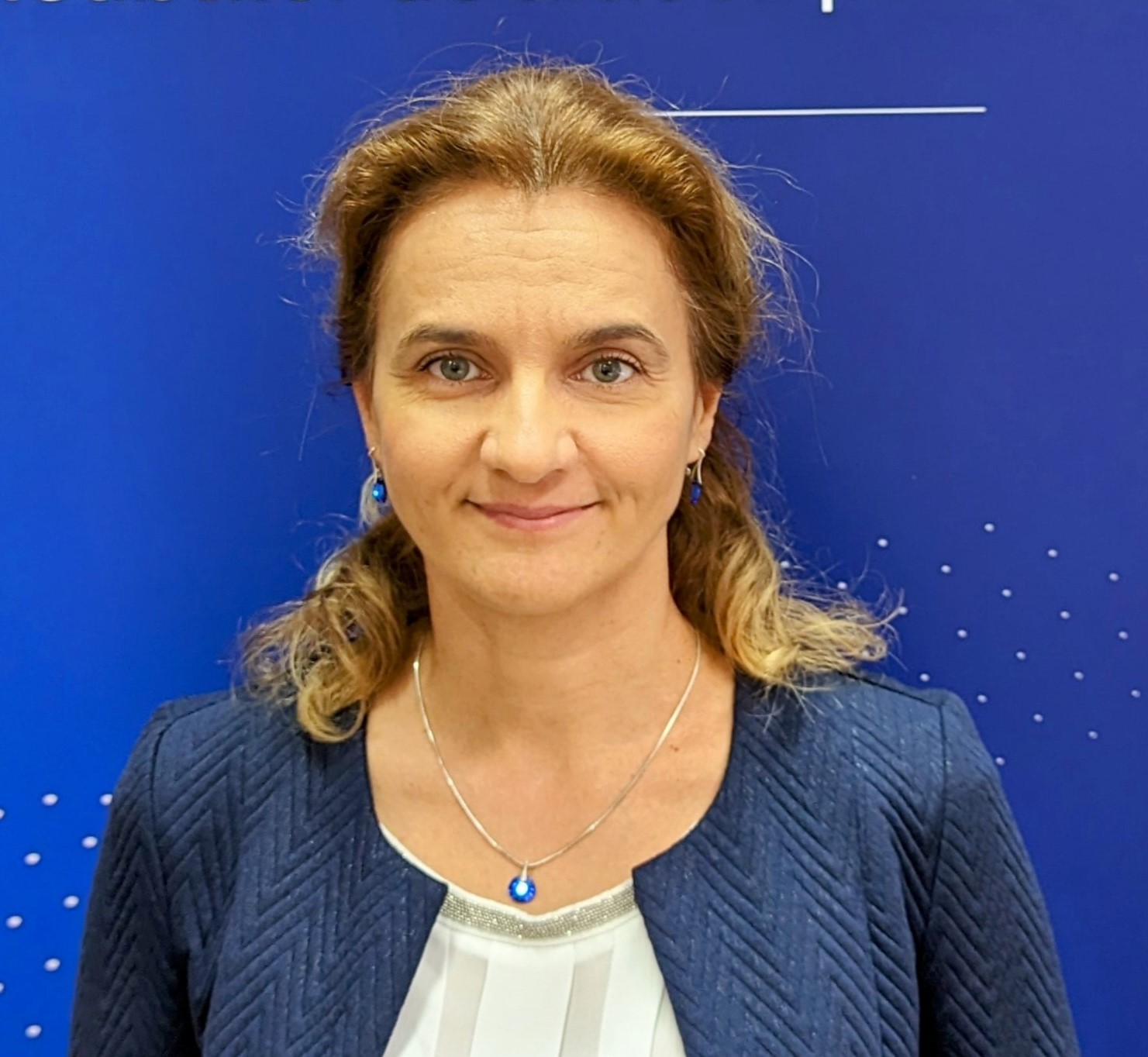 Lect.univ.dr. Voichita Adriana RADU - CV - FSEGA